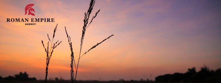 What are the Early Signs of Autism? - Roman Empire Agency